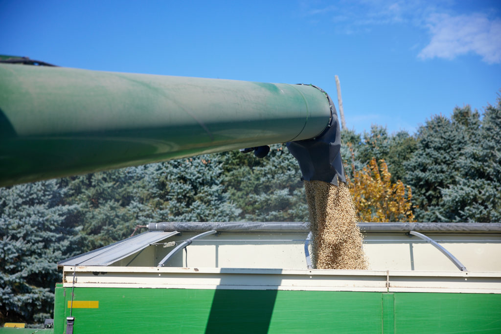 Best of the Best Soybean Review - DF Seeds