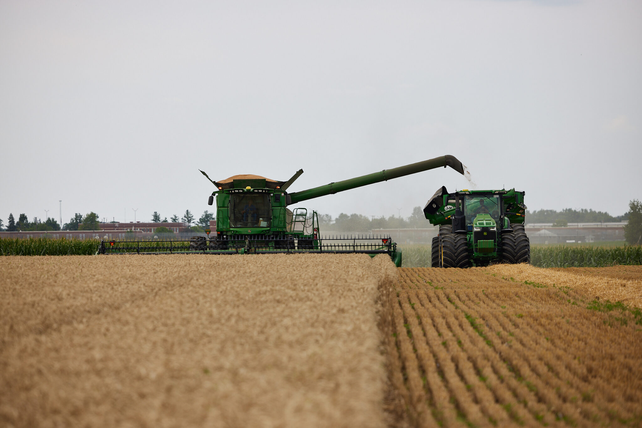 DF Seed Wheat: high quality products for the unique Michigan climate ...