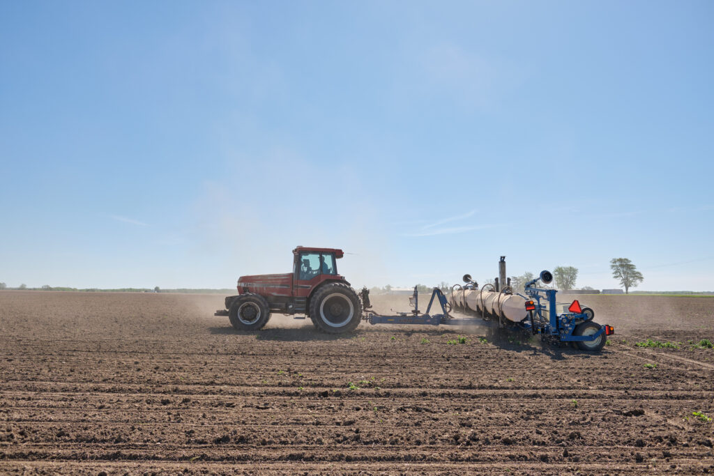 Planting for maximum return with DF Seeds - DF Seeds